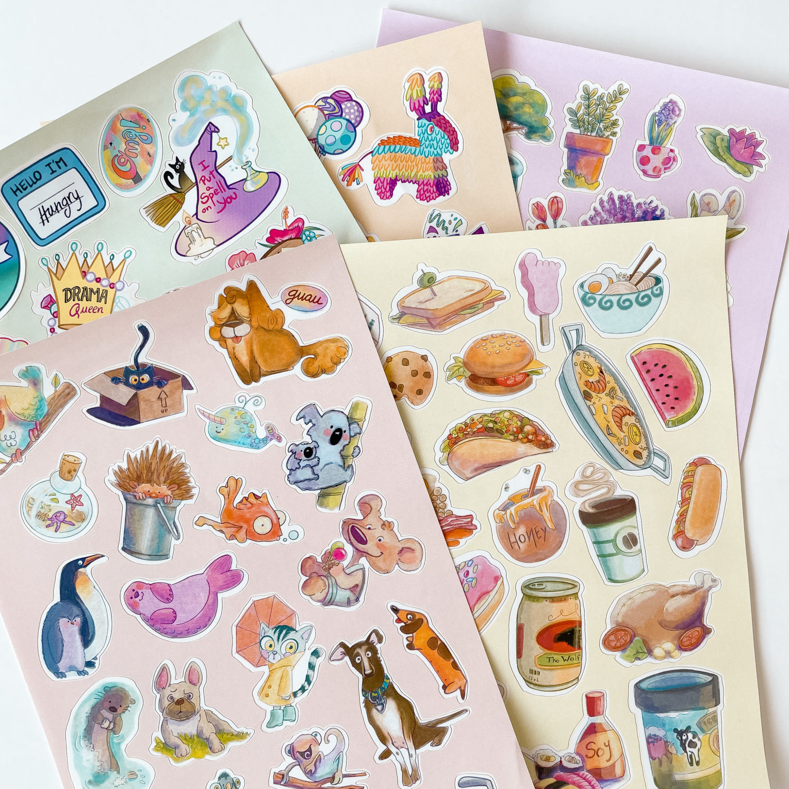Oferta PACK 5 STICKERS · Promoción | Recuerding